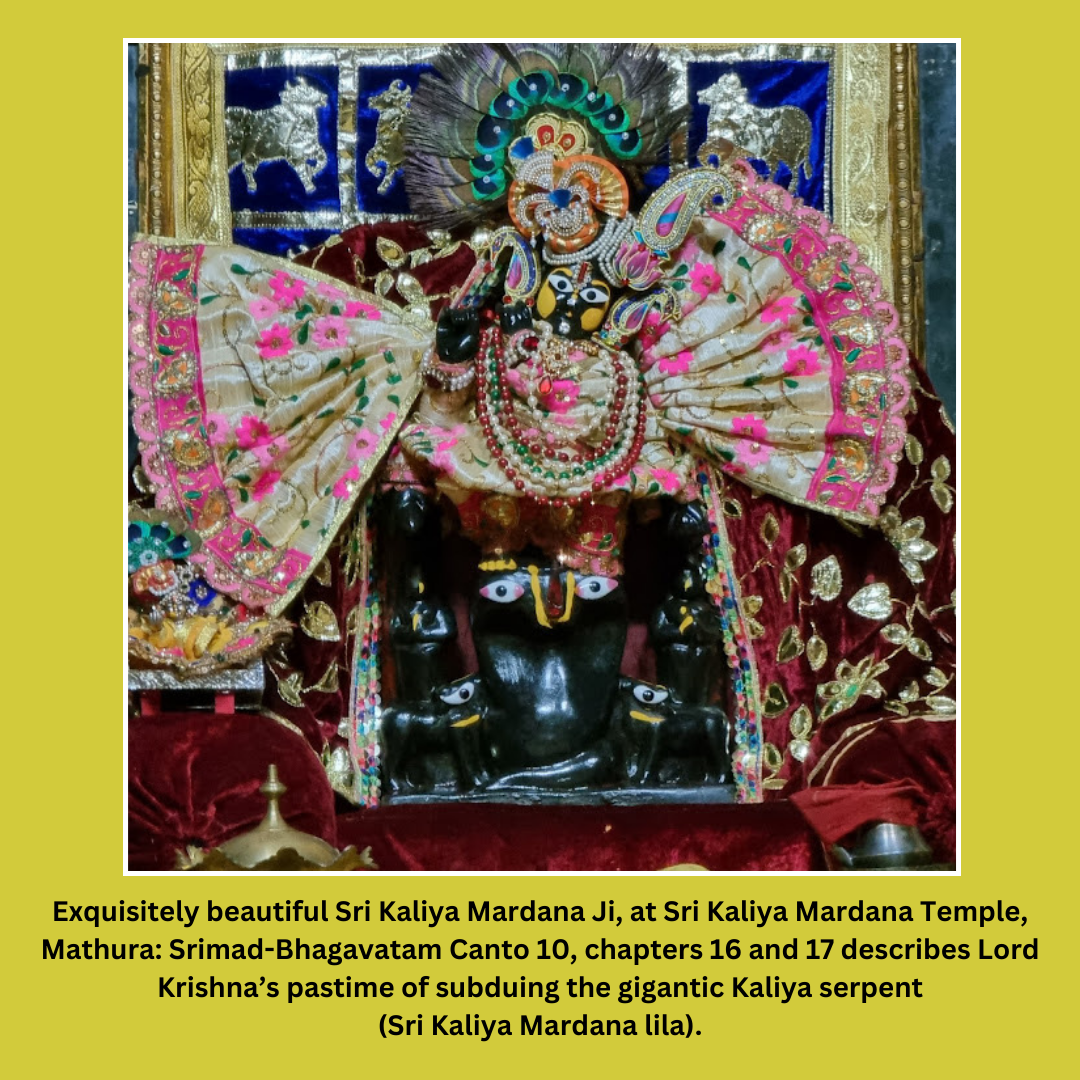 Sri Krishna Janmashtami – 2025 – Hare Krishna Society